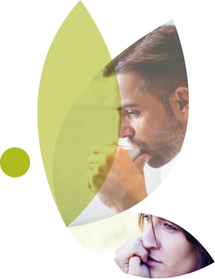 The Programme – Chrysalis Centre